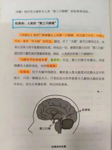 松果体开启最简单的方法_如何激活第三只眼-第1张图片-山城妙识