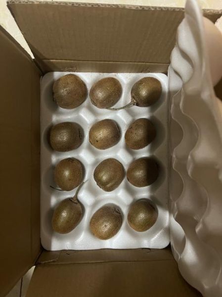 猕猴桃怎么保存不会烂_猕猴桃常温能放多久-第2张图片-山城妙识 猕猴桃怎么保存不会烂_猕猴桃常温能放多久-第2张图片-山城妙识