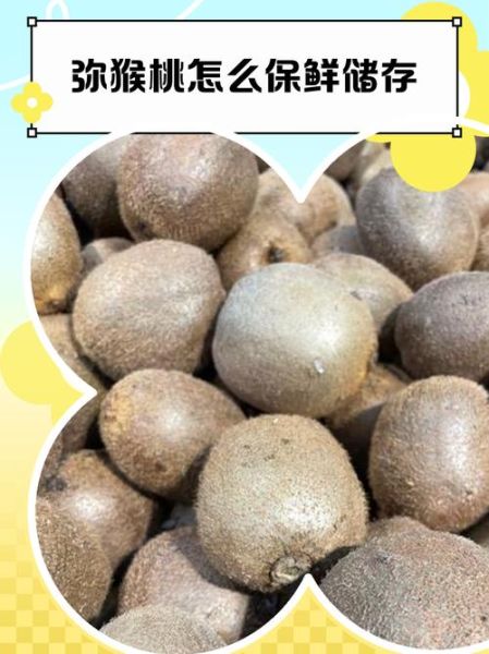 猕猴桃怎么保存不会烂_猕猴桃常温能放多久-第1张图片-山城妙识 猕猴桃怎么保存不会烂_猕猴桃常温能放多久-第1张图片-山城妙识