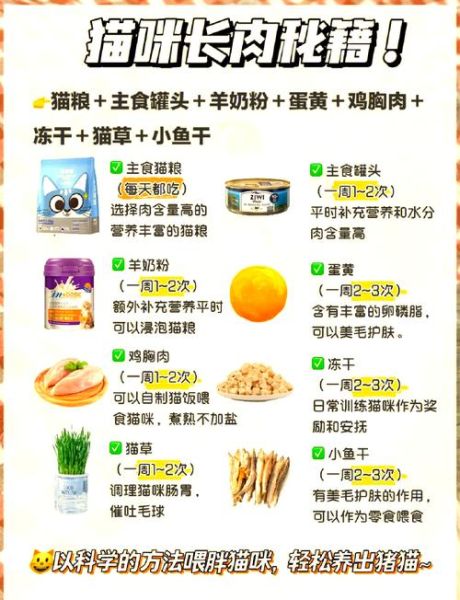 猫肉的做法大全_猫肉怎么做好吃-第3张图片-山城妙识