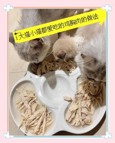 猫肉的做法大全_猫肉怎么做好吃-第2张图片-山城妙识