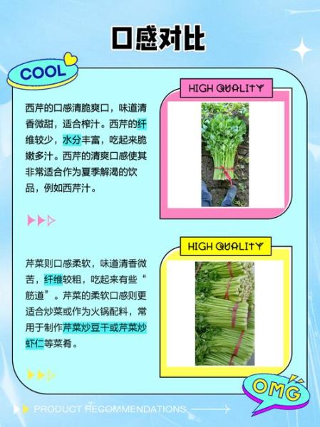 西芹和芹菜的营养区别_哪个更健康-第1张图片-山城妙识 西芹和芹菜的营养区别_哪个更健康-第1张图片-山城妙识