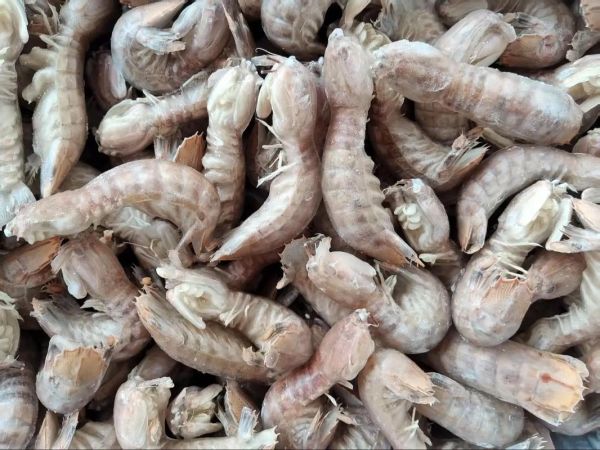 虾姑排多少钱一斤_虾姑排价格行情-第2张图片-山城妙识 虾姑排多少钱一斤_虾姑排价格行情-第2张图片-山城妙识