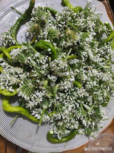 韭菜花酱怎么吃_韭菜花酱做法大全-第2张图片-山城妙识