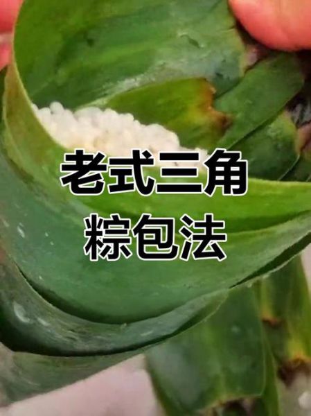 新手包三角粽子_三角粽子怎么包-第2张图片-山城妙识 新手包三角粽子_三角粽子怎么包-第2张图片-山城妙识