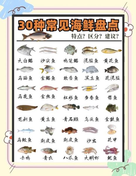 海鲜有哪些种类_海鲜分类大全-第2张图片-山城妙识 海鲜有哪些种类_海鲜分类大全-第2张图片-山城妙识