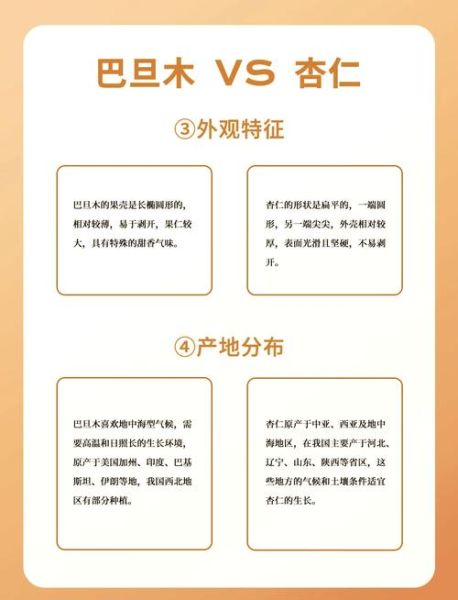 巴旦木和杏仁的区别_哪个营养价值更高-第3张图片-山城妙识 巴旦木和杏仁的区别_哪个营养价值更高-第3张图片-山城妙识