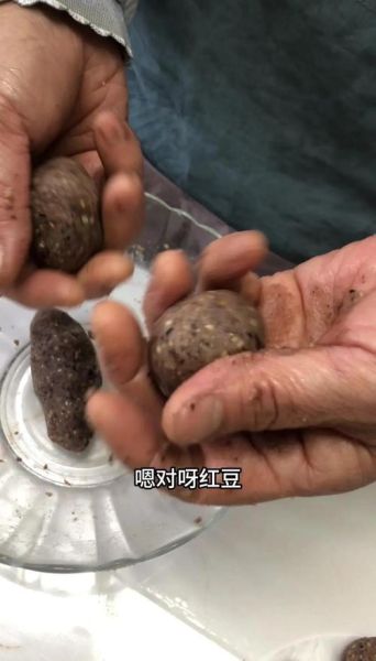 糯米青团子怎么做_青团子做法步骤详解-第2张图片-山城妙识 糯米青团子怎么做_青团子做法步骤详解-第2张图片-山城妙识