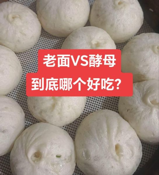 用酵母发面蒸包子多久能发好_蒸包子酵母放多少合适-第3张图片-山城妙识 用酵母发面蒸包子多久能发好_蒸包子酵母放多少合适-第3张图片-山城妙识