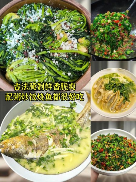 雪菜怎么腌制_雪菜保存多久不变质-第3张图片-山城妙识 雪菜怎么腌制_雪菜保存多久不变质-第3张图片-山城妙识