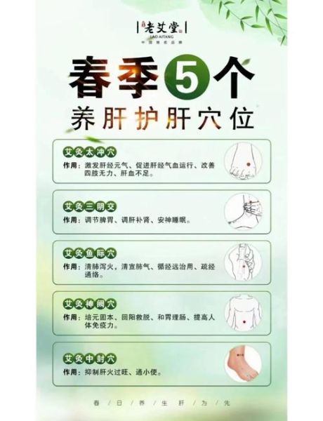 春季如何养肝_黄帝内经春季养生方法-第1张图片-山城妙识 春季如何养肝_黄帝内经春季养生方法-第1张图片-山城妙识