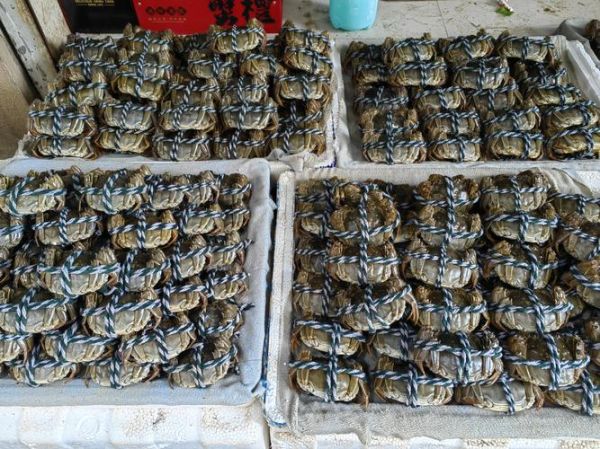 大闸蟹几月份上市_什么时候吃最肥-第2张图片-山城妙识 大闸蟹几月份上市_什么时候吃最肥-第2张图片-山城妙识