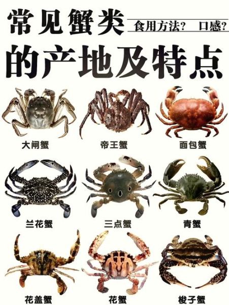 大闸蟹几月份上市_什么时候吃最肥-第3张图片-山城妙识 大闸蟹几月份上市_什么时候吃最肥-第3张图片-山城妙识