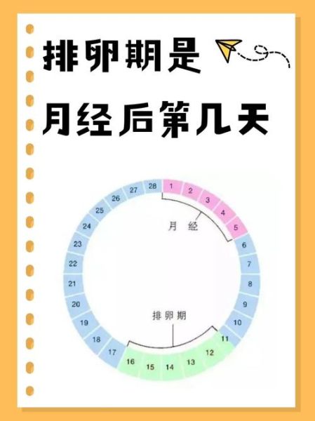 月经干净了第几天排卵_排卵期怎么算才准-第1张图片-山城妙识 月经干净了第几天排卵_排卵期怎么算才准-第1张图片-山城妙识