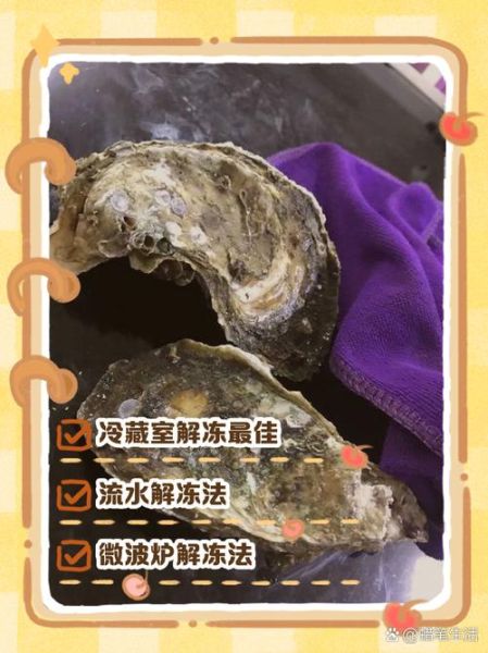 带壳生蚝怎么保存_带壳生蚝可以放多久-第2张图片-山城妙识