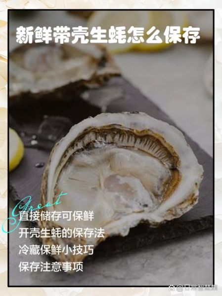 带壳生蚝怎么保存_带壳生蚝可以放多久-第1张图片-山城妙识