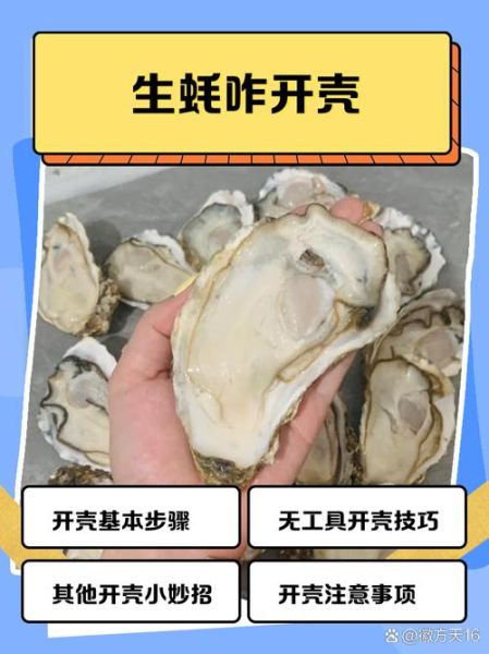带壳生蚝怎么保存_带壳生蚝可以放多久-第3张图片-山城妙识