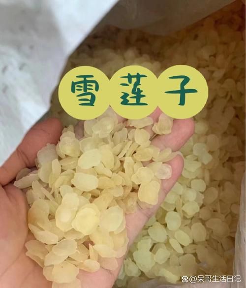 雪莲子功效与作用_雪莲子怎么吃最好-第2张图片-山城妙识