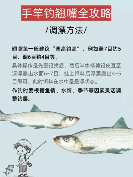 翘嘴怎么钓_翘嘴鱼最佳钓法-第1张图片-山城妙识 翘嘴怎么钓_翘嘴鱼最佳钓法-第1张图片-山城妙识