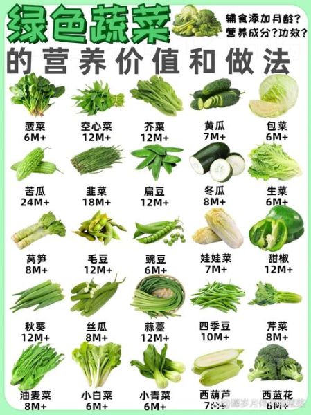 南方蔬菜有哪些_南方蔬菜名称大全-第3张图片-山城妙识 南方蔬菜有哪些_南方蔬菜名称大全-第3张图片-山城妙识