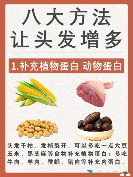 脱发吃什么食物好_脱发食补最有效的方法-第2张图片-山城妙识