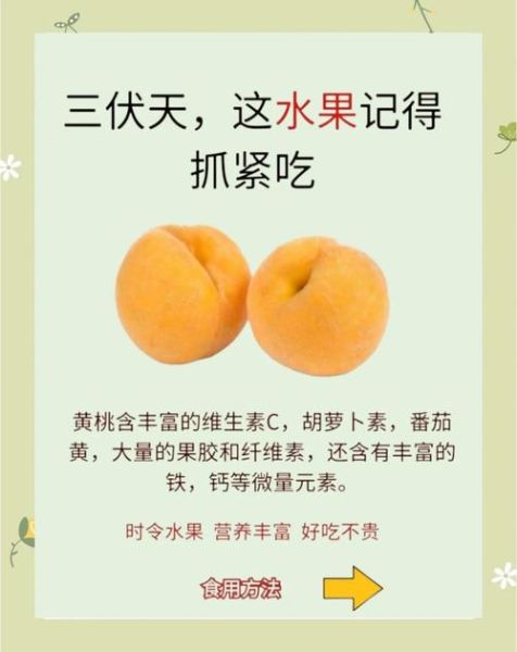 女人吃黄桃有什么好处_黄桃对女性的功效与作用-第3张图片-山城妙识