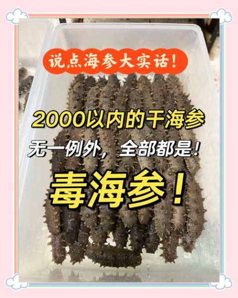 干海参多少钱一斤_干海参价格为什么差别大-第3张图片-山城妙识 干海参多少钱一斤_干海参价格为什么差别大-第3张图片-山城妙识