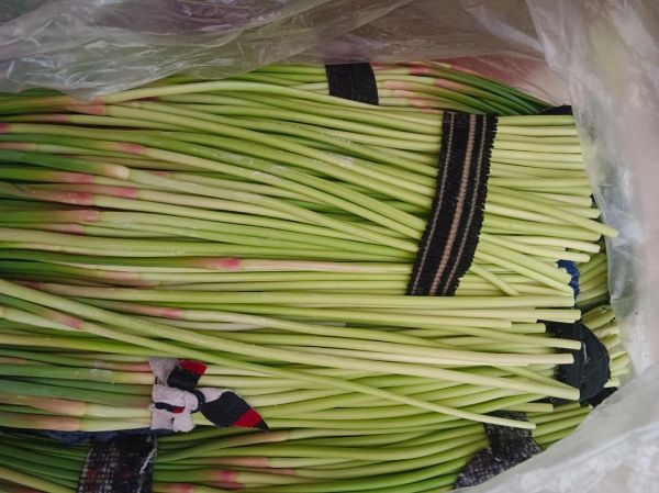 蒜苔图片大全_蒜苔怎么挑选才新鲜-第3张图片-山城妙识 蒜苔图片大全_蒜苔怎么挑选才新鲜-第3张图片-山城妙识