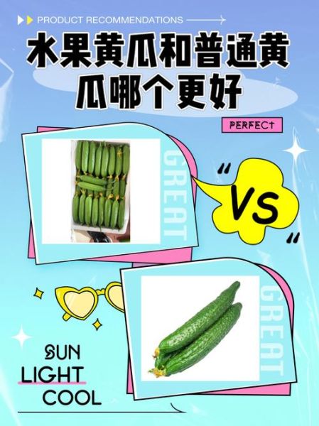 水果黄瓜和普通黄瓜的区别_水果黄瓜怎么吃最好-第1张图片-山城妙识