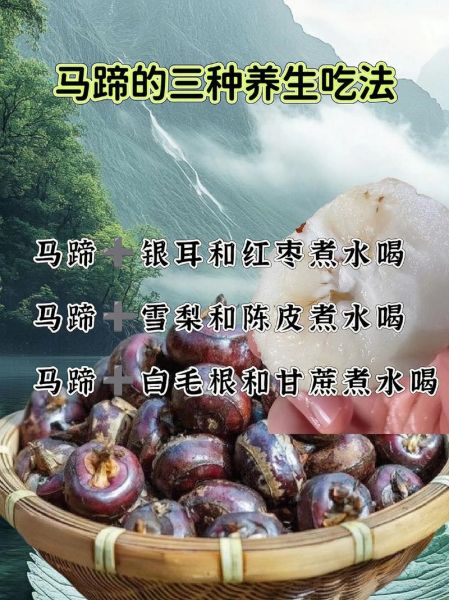 马蹄煲汤的功效与作用_马蹄煲汤适合什么人喝-第3张图片-山城妙识 马蹄煲汤的功效与作用_马蹄煲汤适合什么人喝-第3张图片-山城妙识