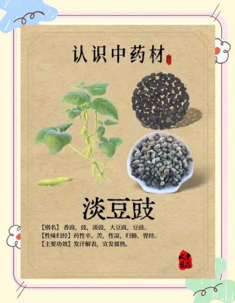 淡豆豉的功效与作用_淡豆豉怎么吃效果最好-第3张图片-山城妙识 淡豆豉的功效与作用_淡豆豉怎么吃效果最好-第3张图片-山城妙识