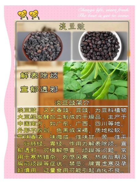 淡豆豉的功效与作用_淡豆豉怎么吃效果最好-第1张图片-山城妙识 淡豆豉的功效与作用_淡豆豉怎么吃效果最好-第1张图片-山城妙识