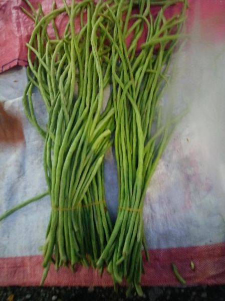 酸豆角怎么腌_酸豆角腌制方法-第3张图片-山城妙识