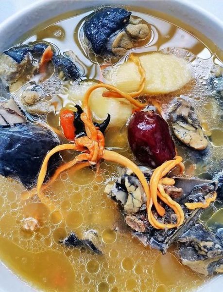 虫草花乌鸡汤的功效与做法_孕妇可以喝吗-第1张图片-山城妙识