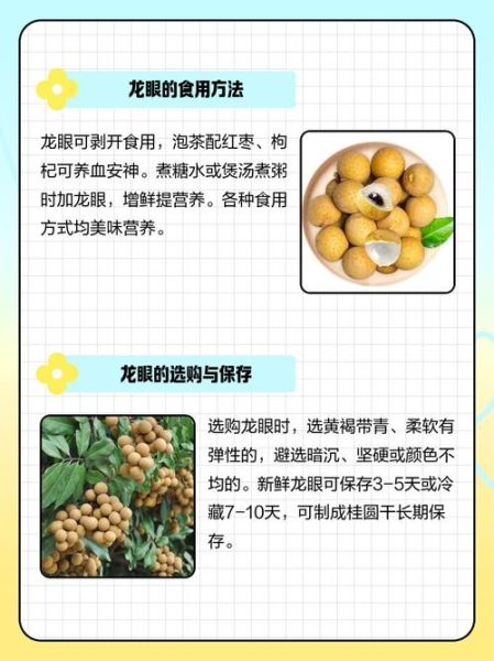 龙眼几月份成熟_龙眼什么时候上市-第1张图片-山城妙识 龙眼几月份成熟_龙眼什么时候上市-第1张图片-山城妙识