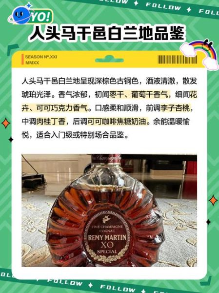 白兰地是什么酒_白兰地多少度-第1张图片-山城妙识