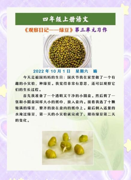 绿豆怎么发芽_绿豆发芽需要几天-第1张图片-山城妙识