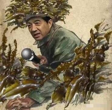 海带缠潜艇下一句是什么_海带缠潜艇梗来源-第1张图片-山城妙识 海带缠潜艇下一句是什么_海带缠潜艇梗来源-第1张图片-山城妙识