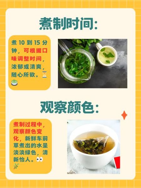 车前草怎么煮水喝_车前草煮水一天喝几次-第1张图片-山城妙识