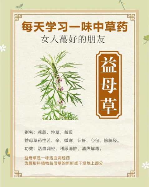 益母草的正确使用方法_益母草什么时候喝最好-第3张图片-山城妙识