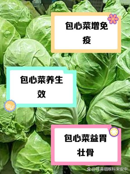 包菜的营养价值_包菜可以减肥吗-第3张图片-山城妙识