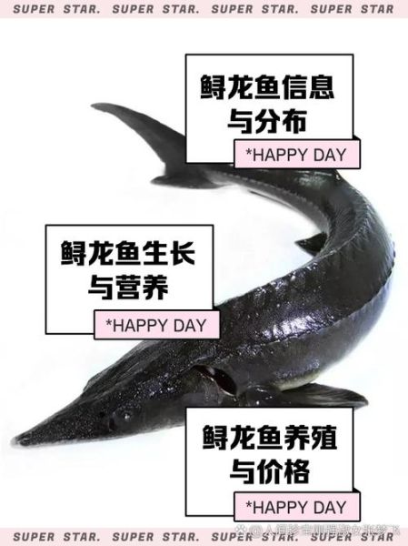 鲟鱼需要去鳞吗_鲟鱼鳞片怎么处理-第1张图片-山城妙识