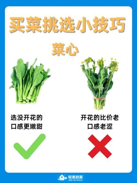 蔬菜网购平台哪家好_如何挑选新鲜蔬菜-第1张图片-山城妙识