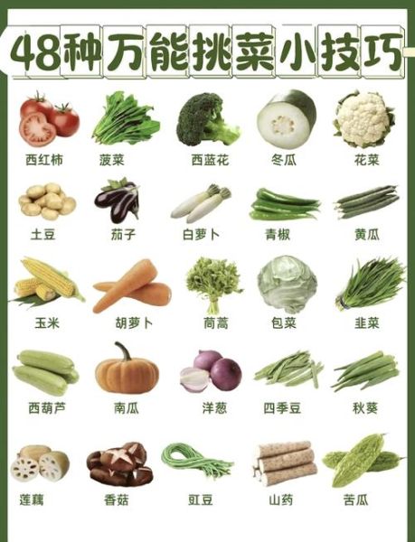 蔬菜网购平台哪家好_如何挑选新鲜蔬菜-第2张图片-山城妙识