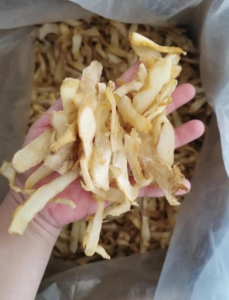 玉竹长什么样_玉竹图片如何鉴别真假-第2张图片-山城妙识