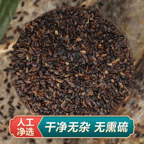 狗宝咸菜是什么药材_狗宝咸菜的功效与作用-第2张图片-山城妙识 狗宝咸菜是什么药材_狗宝咸菜的功效与作用-第2张图片-山城妙识