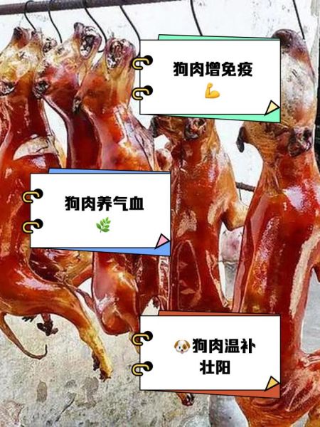狗肉的营养价值_狗肉的功效与作用有哪些-第1张图片-山城妙识 狗肉的营养价值_狗肉的功效与作用有哪些-第1张图片-山城妙识