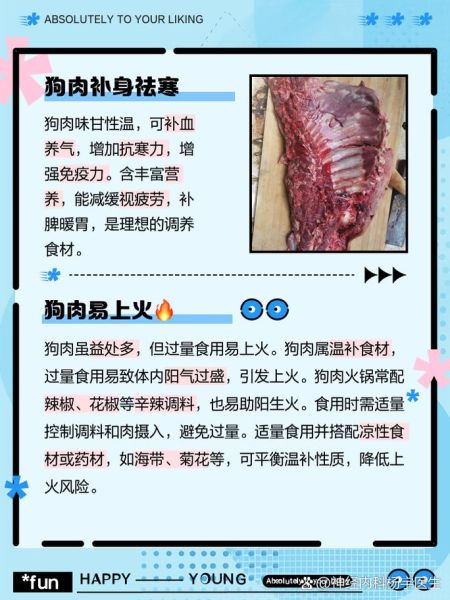 狗肉的营养价值_狗肉的功效与作用有哪些-第2张图片-山城妙识 狗肉的营养价值_狗肉的功效与作用有哪些-第2张图片-山城妙识