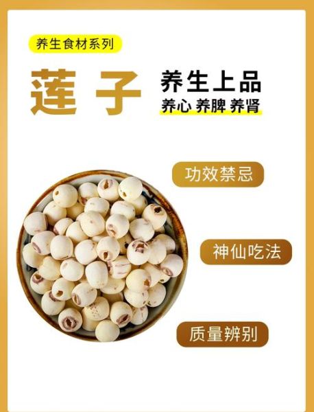 干莲子怎么吃最养脾胃_干莲子功效与作用有哪些-第1张图片-山城妙识
