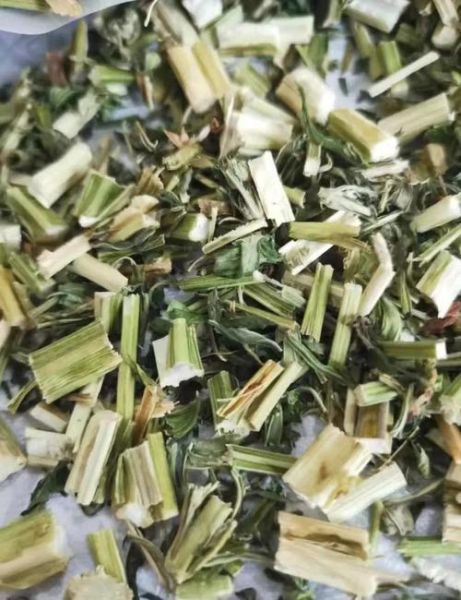 新鲜益母草图片_如何辨别真假-第1张图片-山城妙识